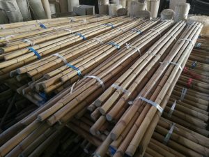 manau rattan cane with skin